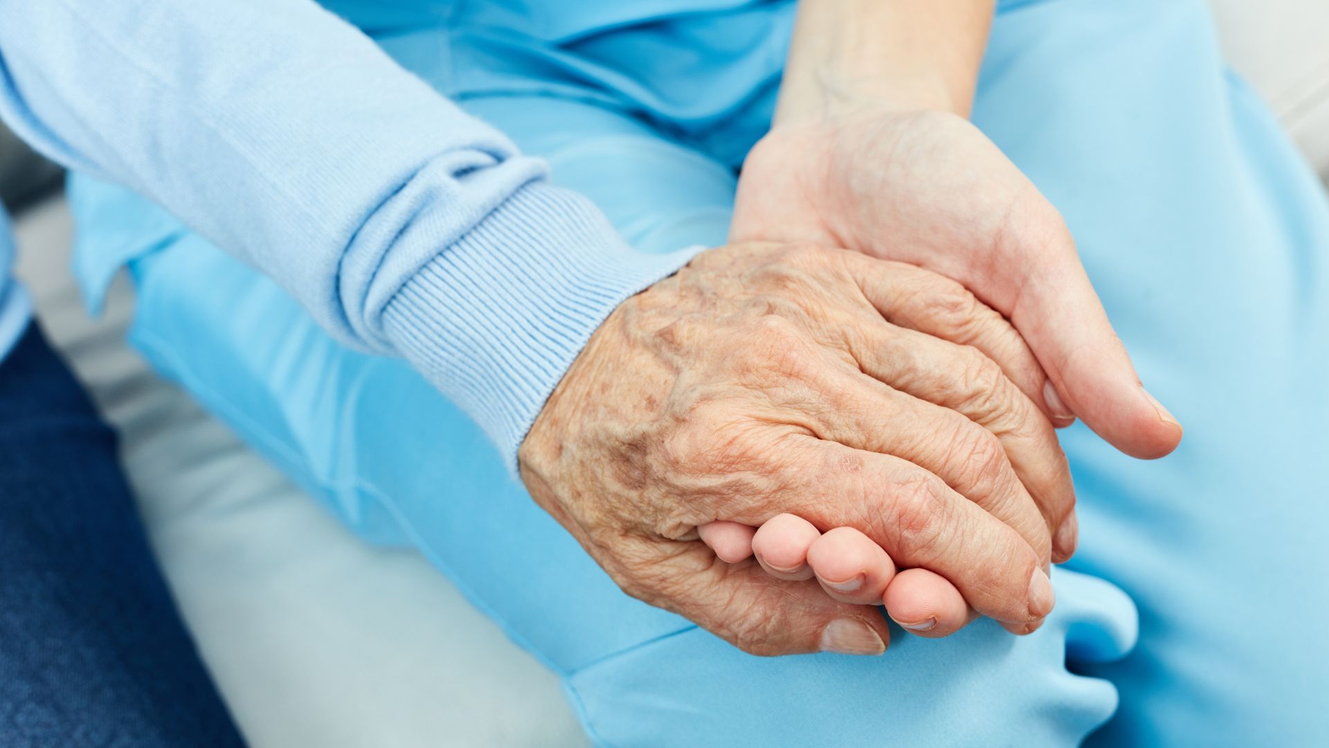 Cloverleaf Healthcare receives Dementia Friendly Business Certificate ...